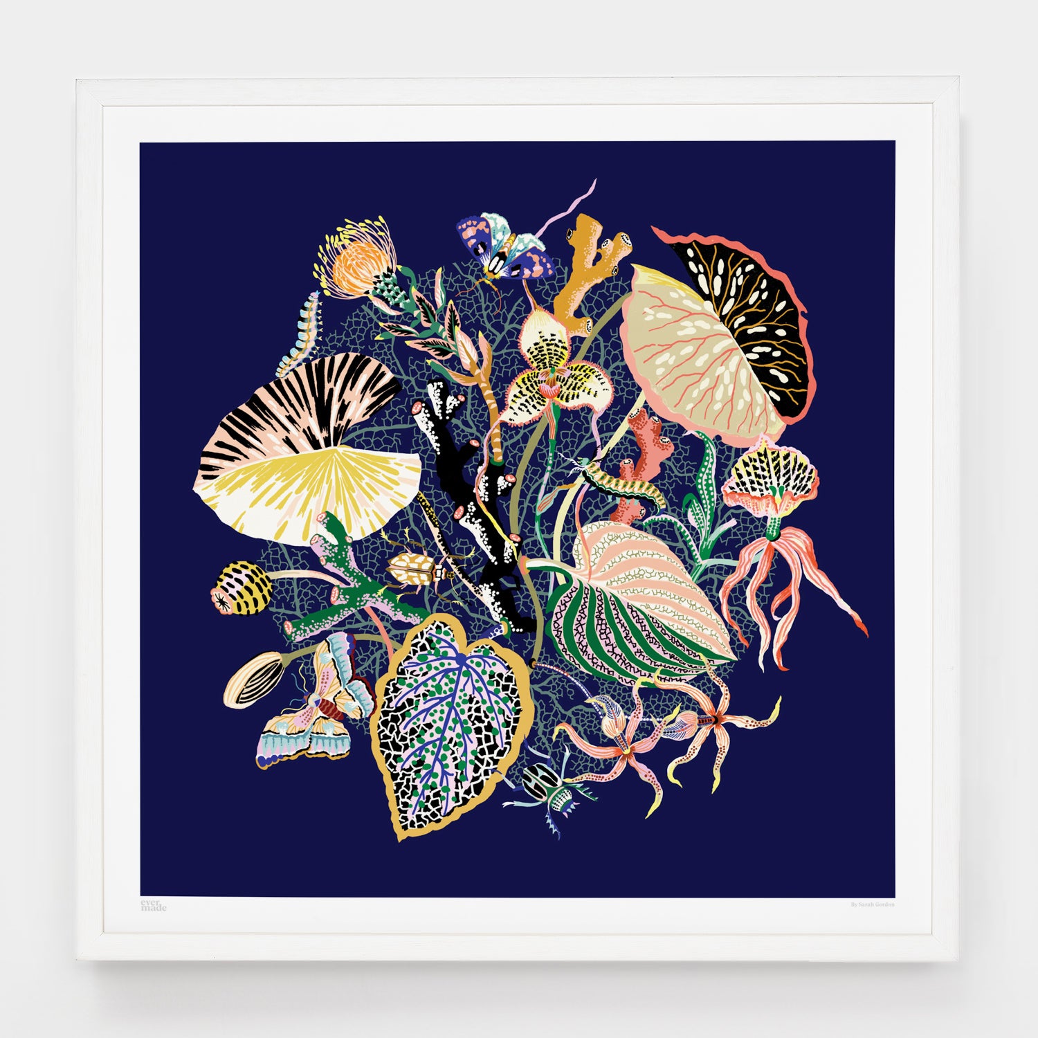 Sarah Gordon Art Print for WWF Earth Hour x Evermade Editions