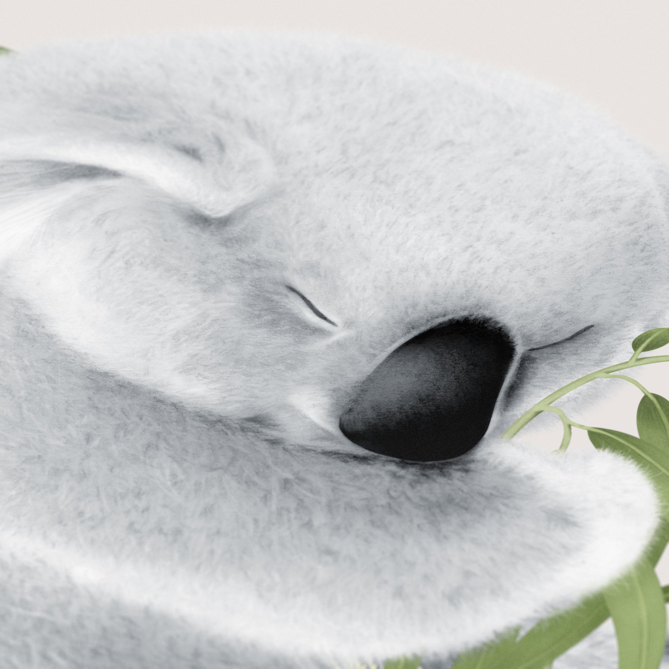 Louise Jones Art Print for WWF Earth Hour x Evermade Editions