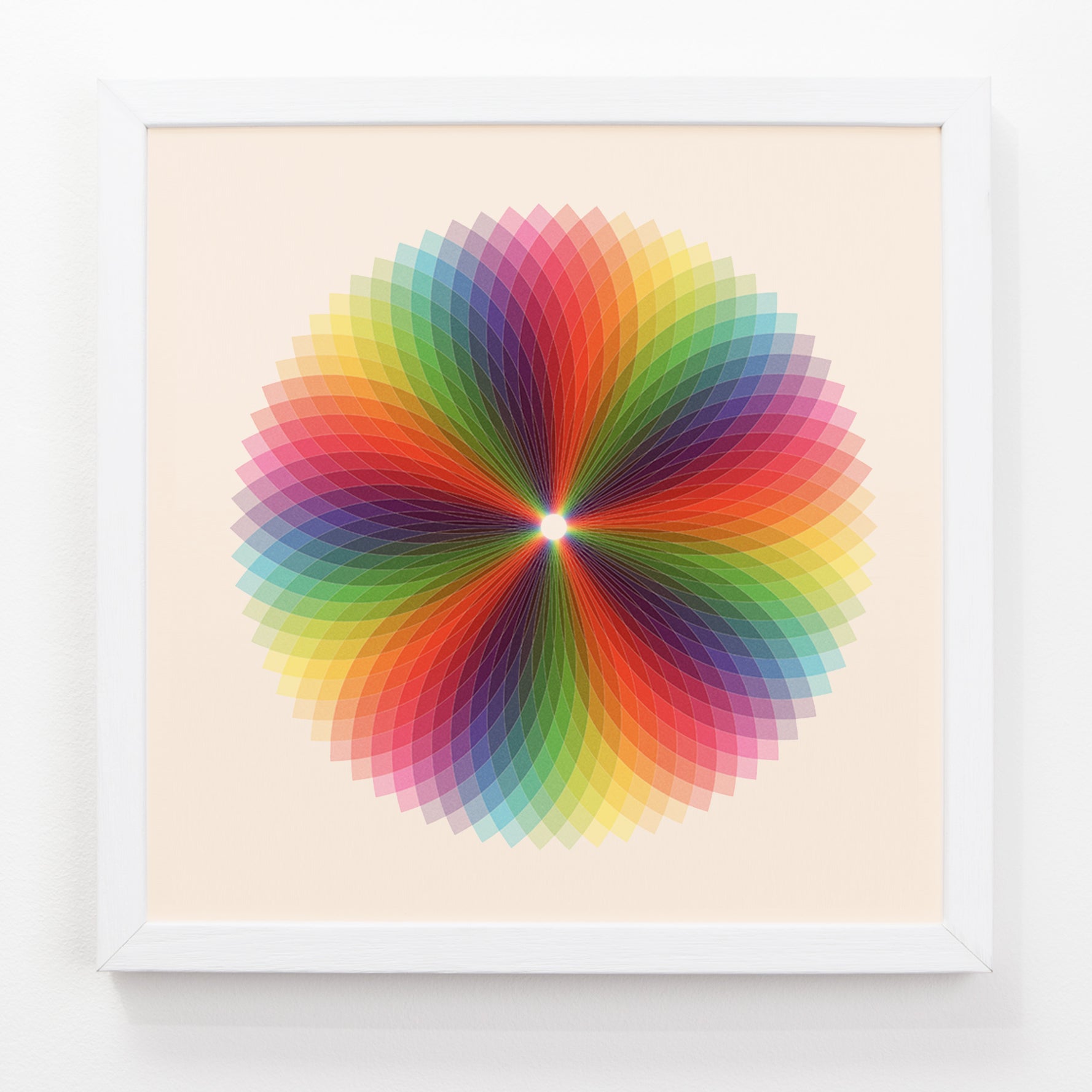 Colour Wheel– Evermade